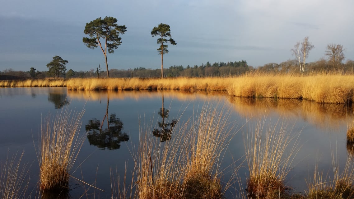 Gemeente Heumen | Regionaal Energieloket